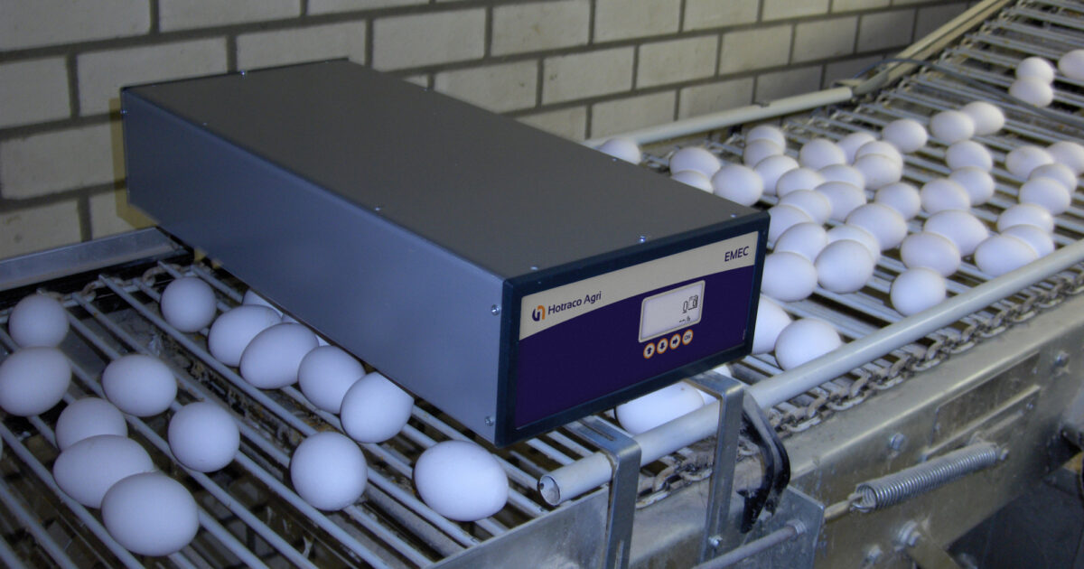 Egg counting & Egg Flow Control | Hotraco Agri