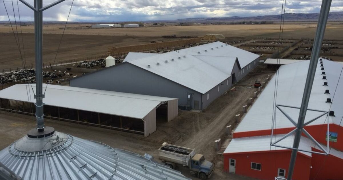 Calf barns in Canada | Hotraco Agri