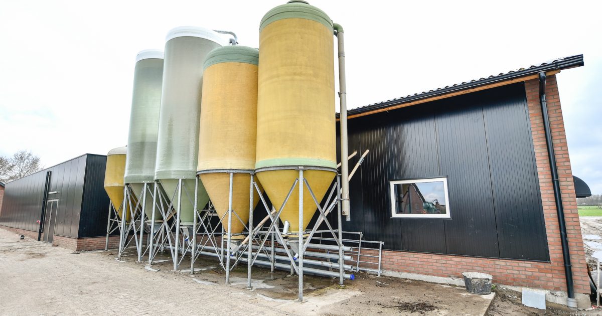 Thomas® successfully implemented at Dutch pig farm | Hotraco Agri