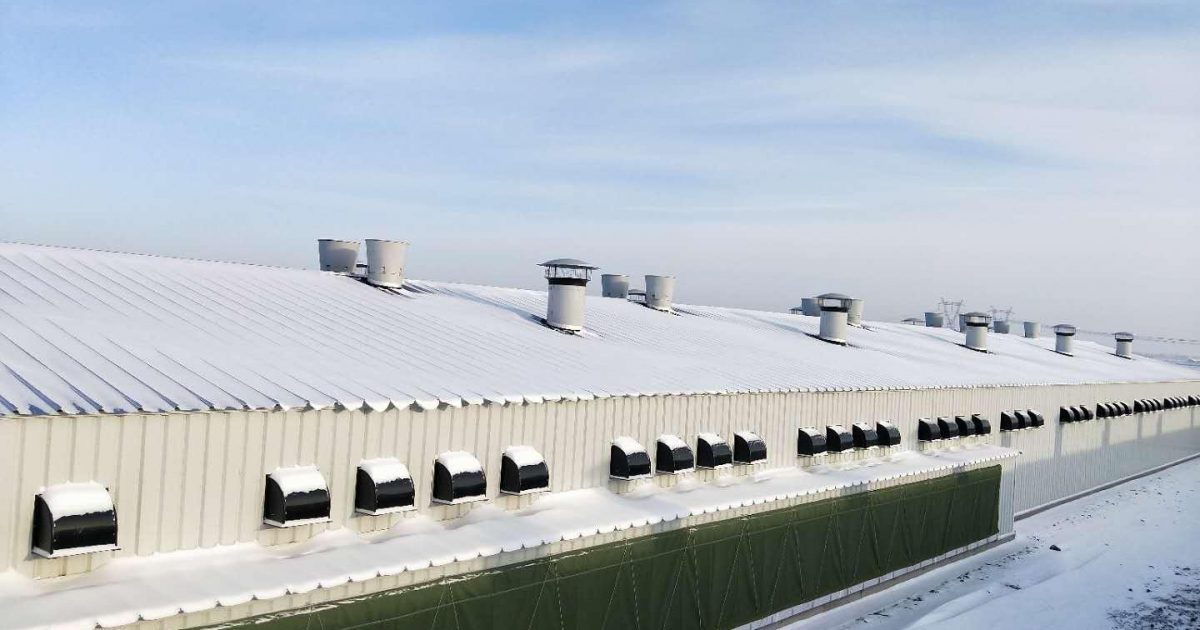 Broiler farms in China | Hotraco Agri
