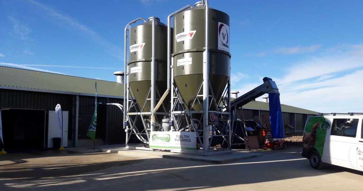 Layer Farm in the UK | Hotraco Agri