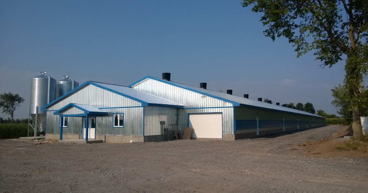 New broiler house in Canada | Hotraco Agri