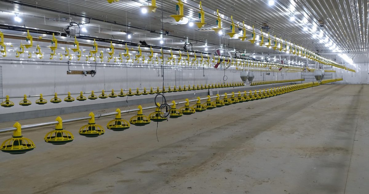 New turkey house in Canada | Hotraco Agri