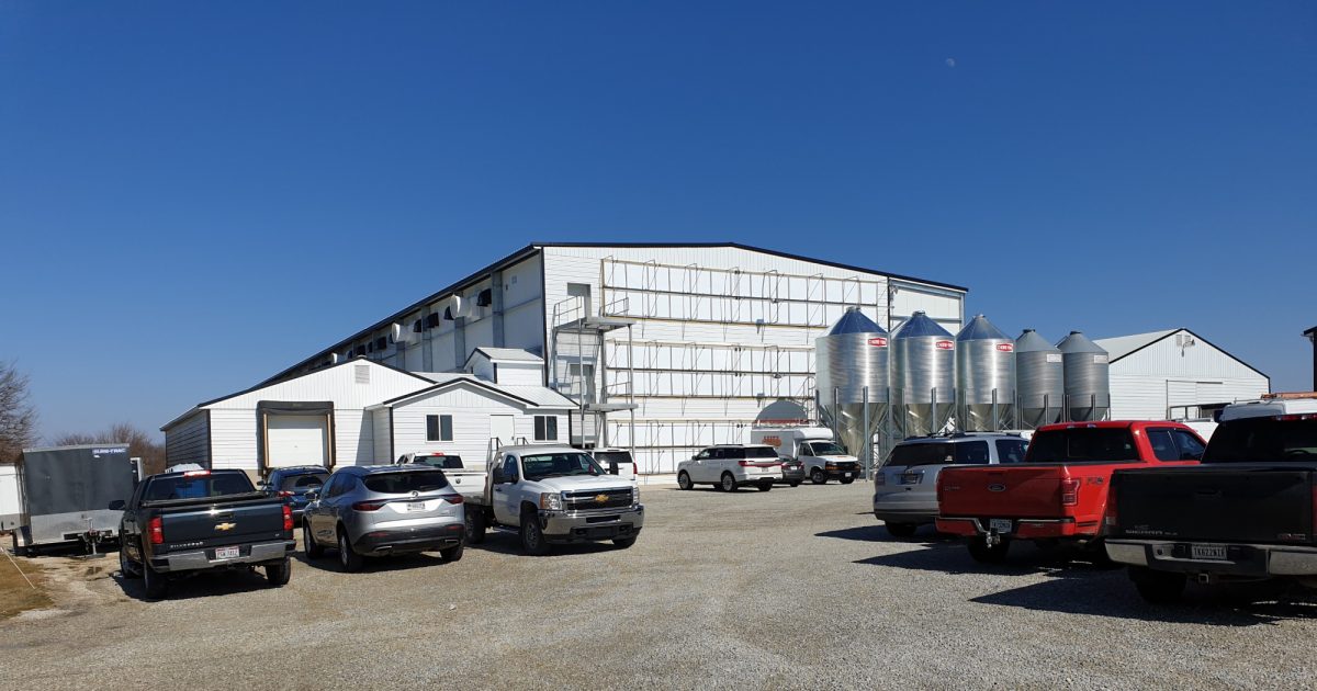 Cage-free layer house in the USA | Hotraco Agri