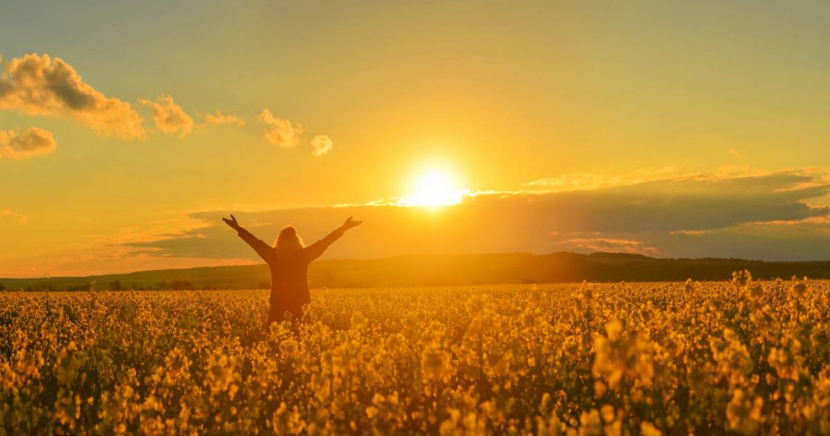 Home | Hotraco Group