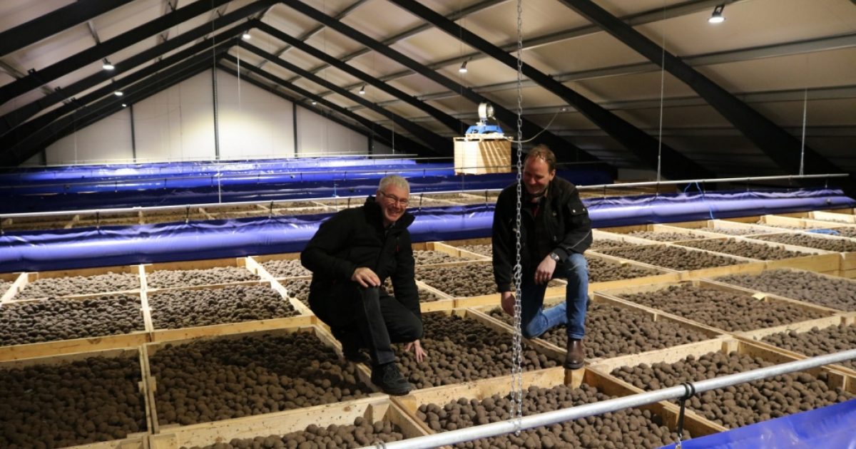 Seed potato storage in Northern Denmark | Mooij Agro
