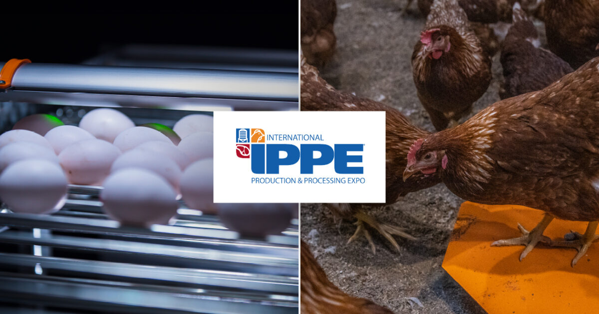 IPPE 2026 | Hotraco Agri