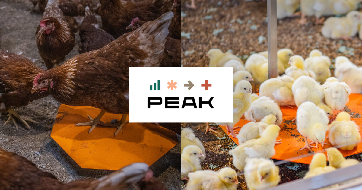 Meet us at PEAK 2025 | Hotraco Agri